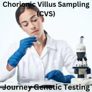 Chorionic Villus Sampling Prenatal Paternity Test - Low Cost